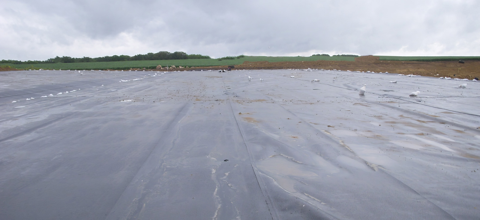 Geosynthetic Journey: E Squared's Geomembranes for Beginners